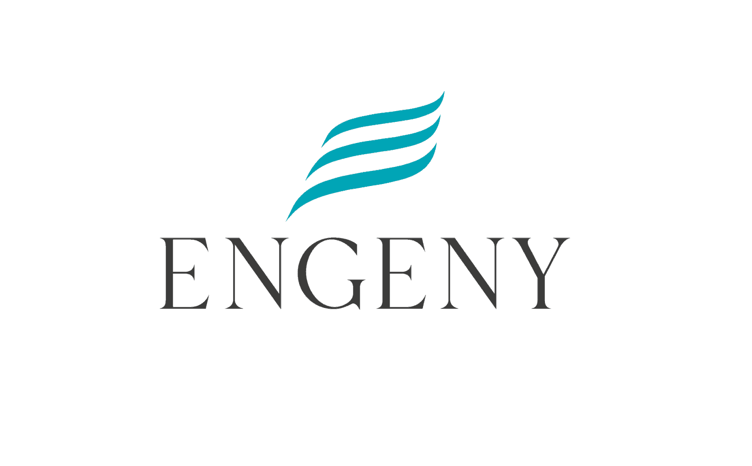 Engeny Update: Transitioning to a Corporate Company - Engeny